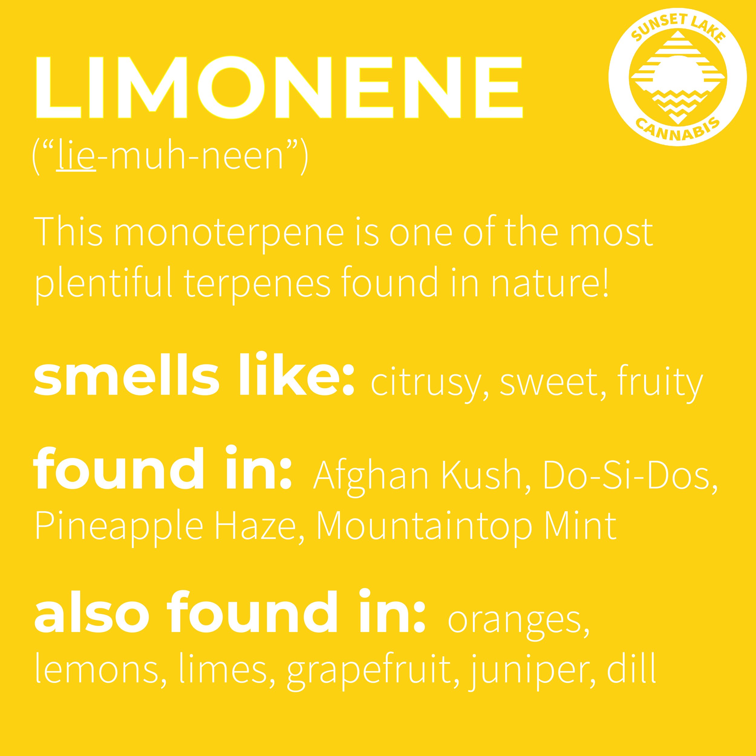 Terpene Spotlight: Limonene — Sunset Lake Cannabis