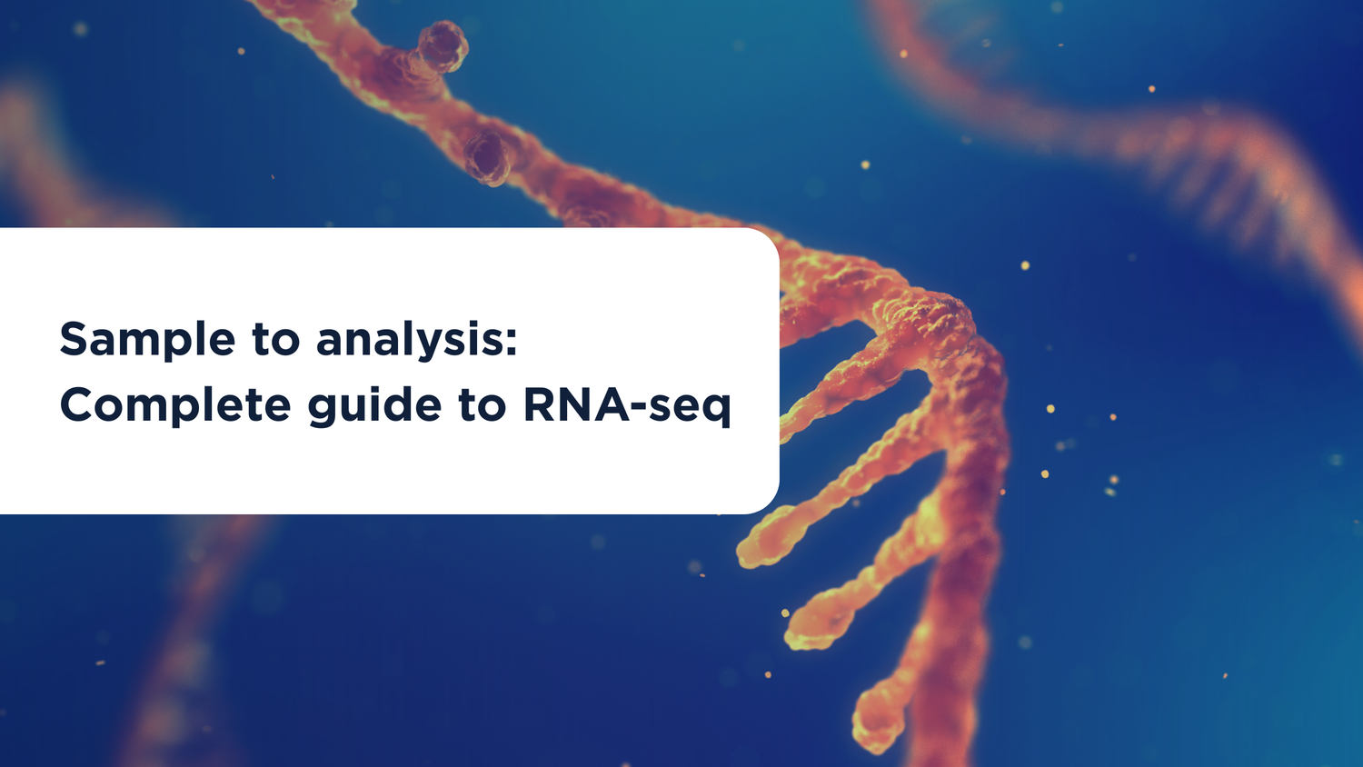 Complete Guide to RNA Sequencing — Admera Health