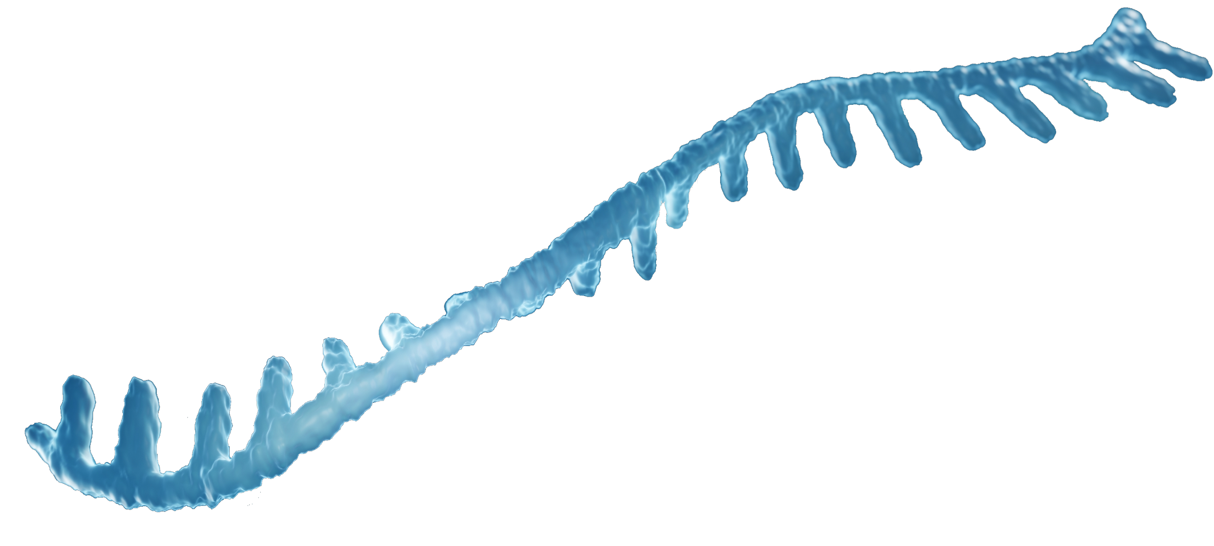 RNAseq or Transcriptomic Profiling — Admera Health