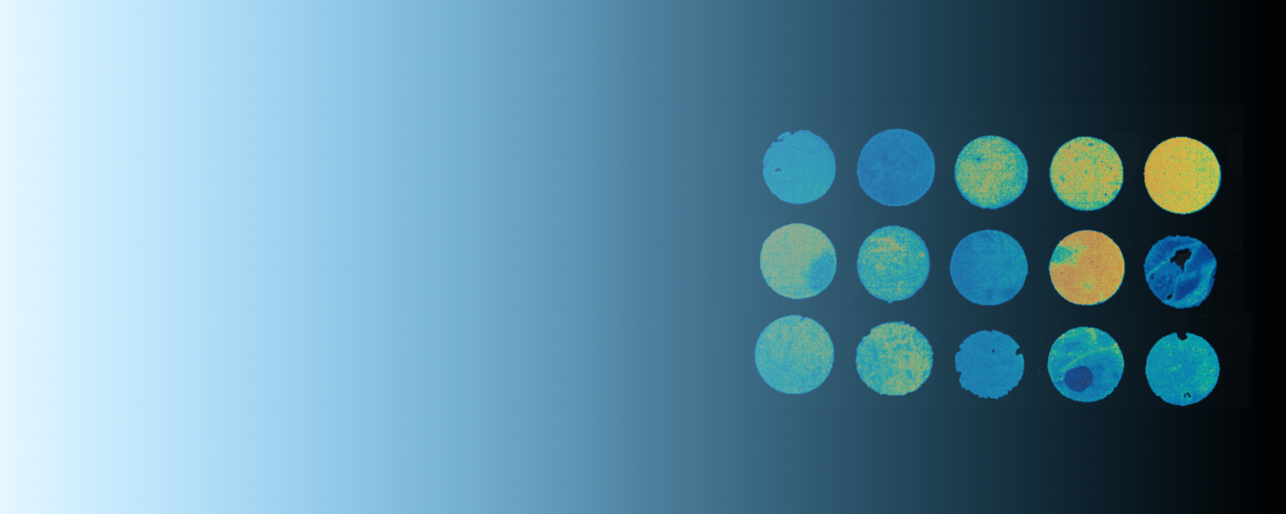 Stereo-seq | Spatial Transcriptomics — Admera Health