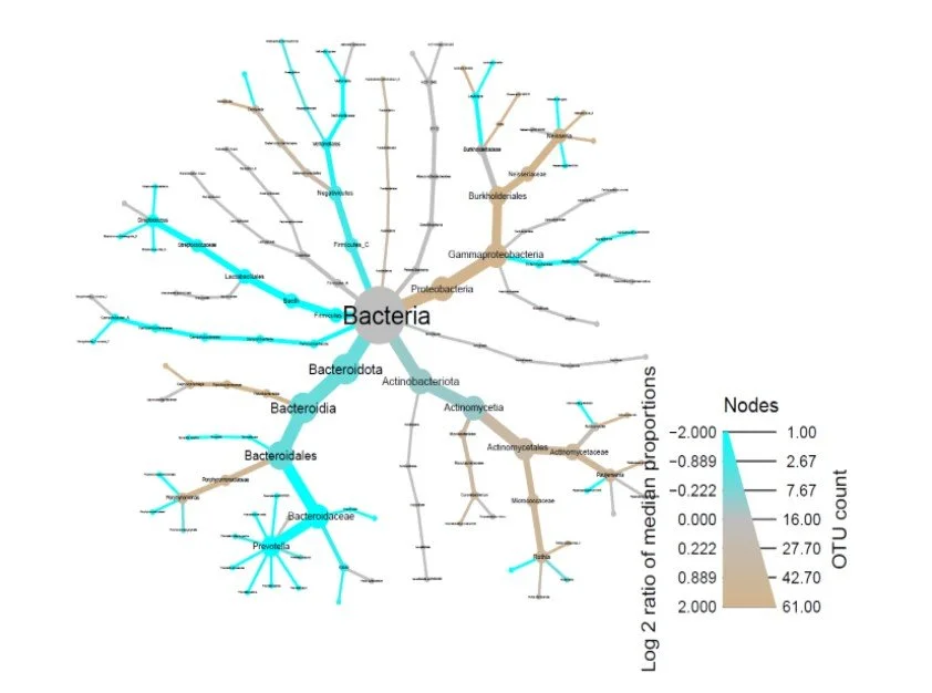 16S Metagenomics Single Sample Aggregate Report — Admera Health