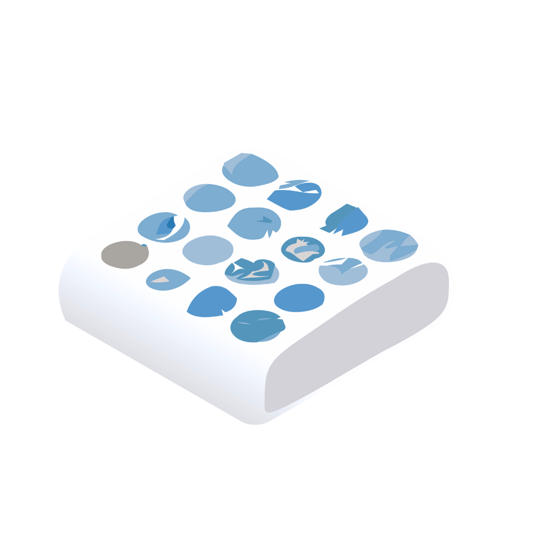 Stereo-seq | Spatial Transcriptomics — Admera Health