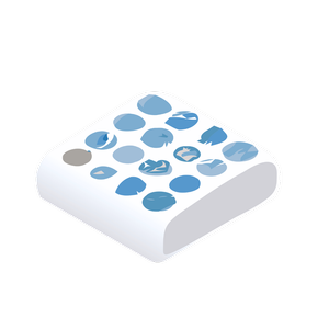 Stereo-seq | Spatial Transcriptomics — Admera Health