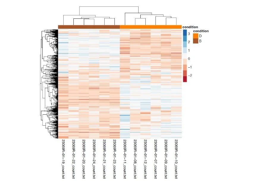 Small RNA Standard Analysis Demo Data — Admera Health