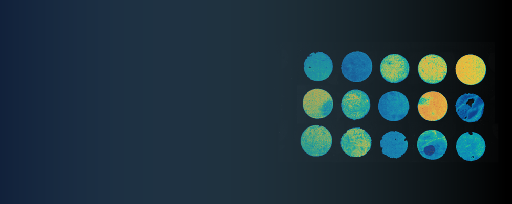 Stereo-seq | Spatial Transcriptomics — Admera Health