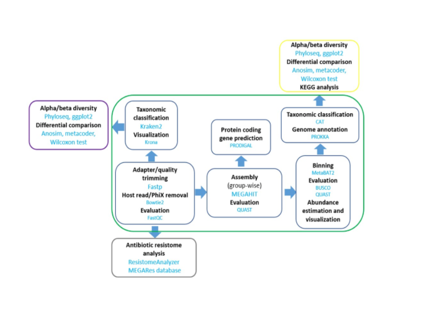16S Metagenomics Single Sample Aggregate Report — Admera Health