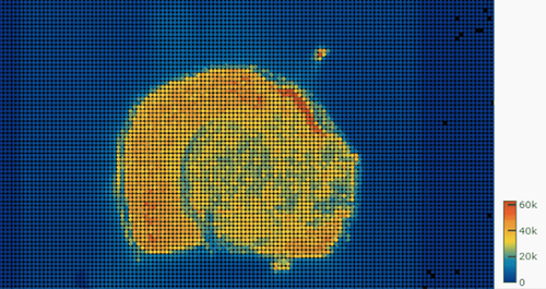 Explore Spatial Biology at Ultra-High Resolution with Stereo-seq ...