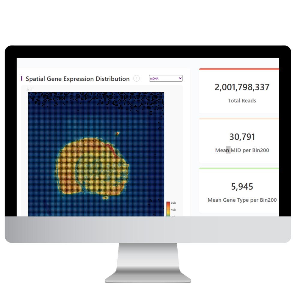Stereo-seq | Spatial Transcriptomics — Admera Health