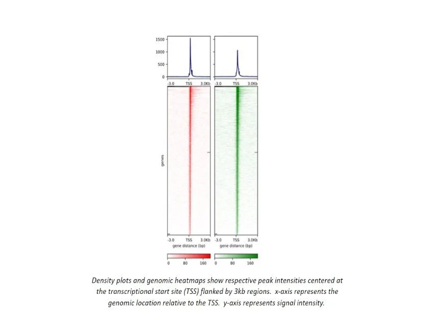 Chip Seq Atac Seq Cutandrun Demo Data — Admera Health