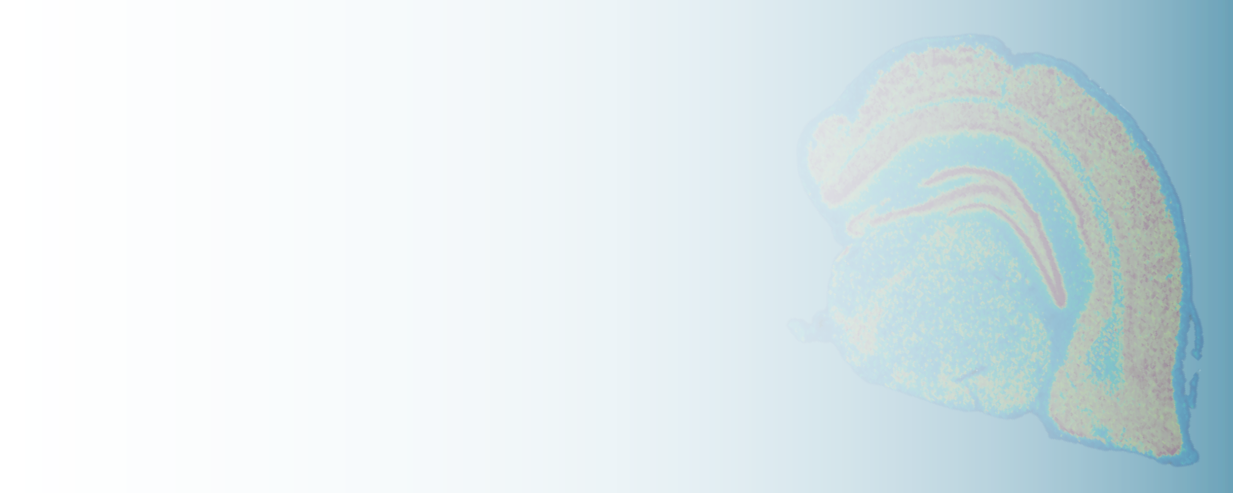 Application Note: Stereo-seq for Spatial Transcriptomics — Admera Health