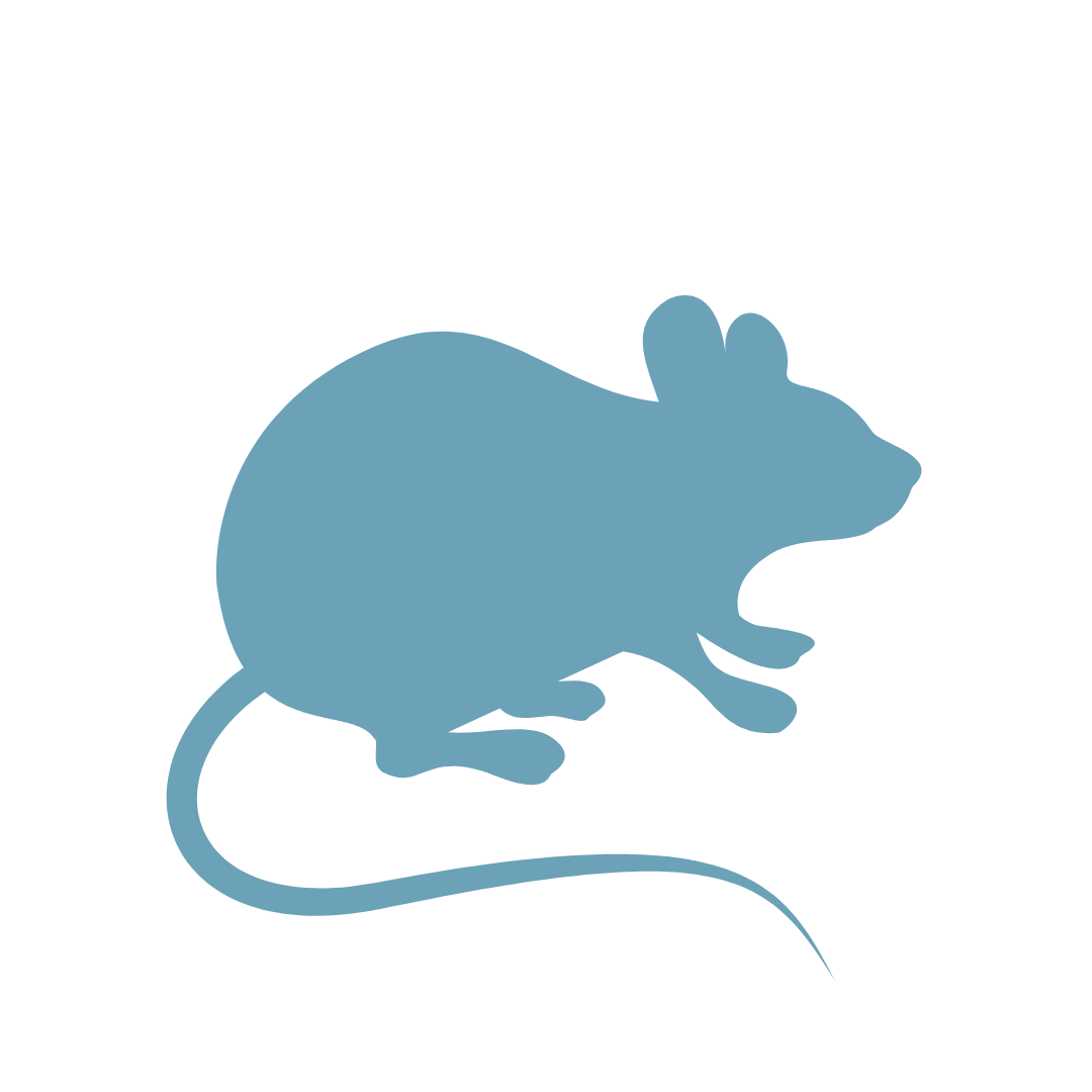 Stereo-seq | Spatial Transcriptomics — Admera Health