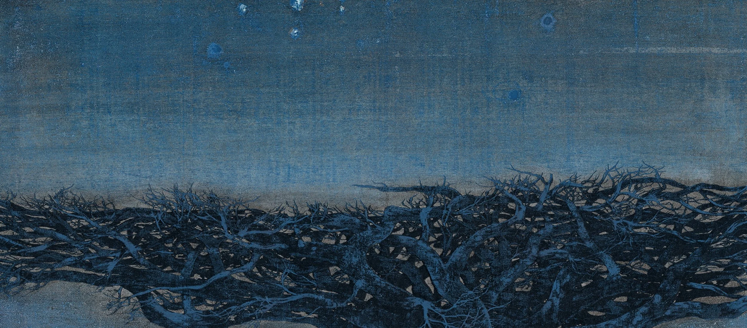 Joichi Hoshi — COLLECTING JAPANESE PRINTS