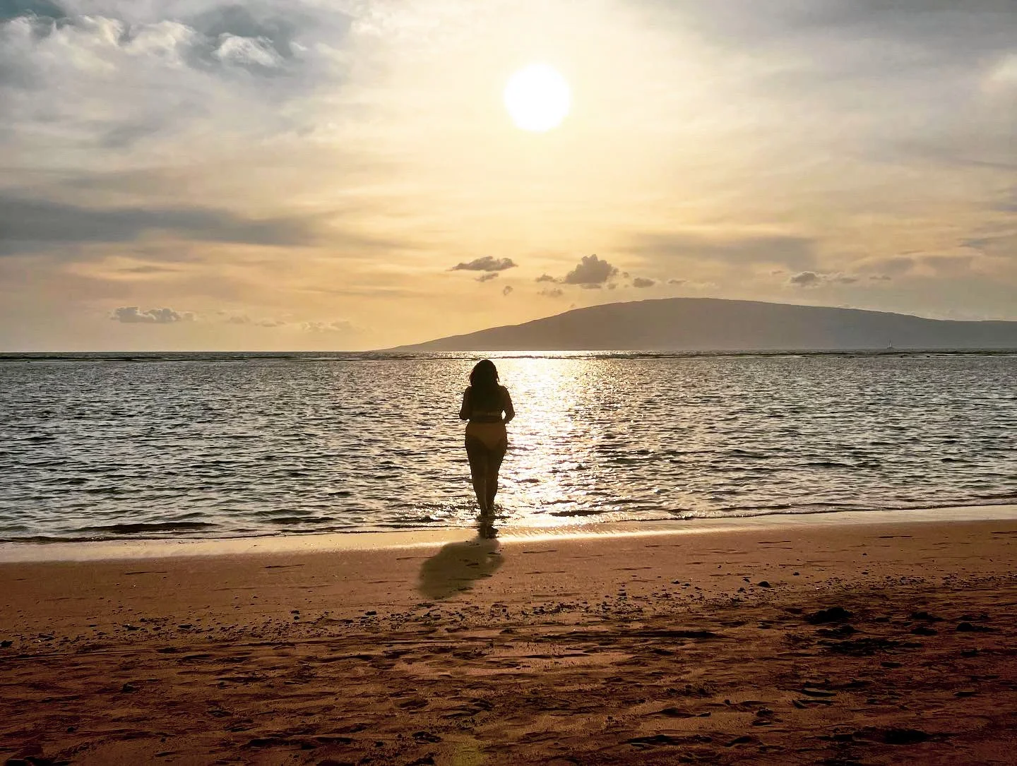 The Bitter Bitch's Guide