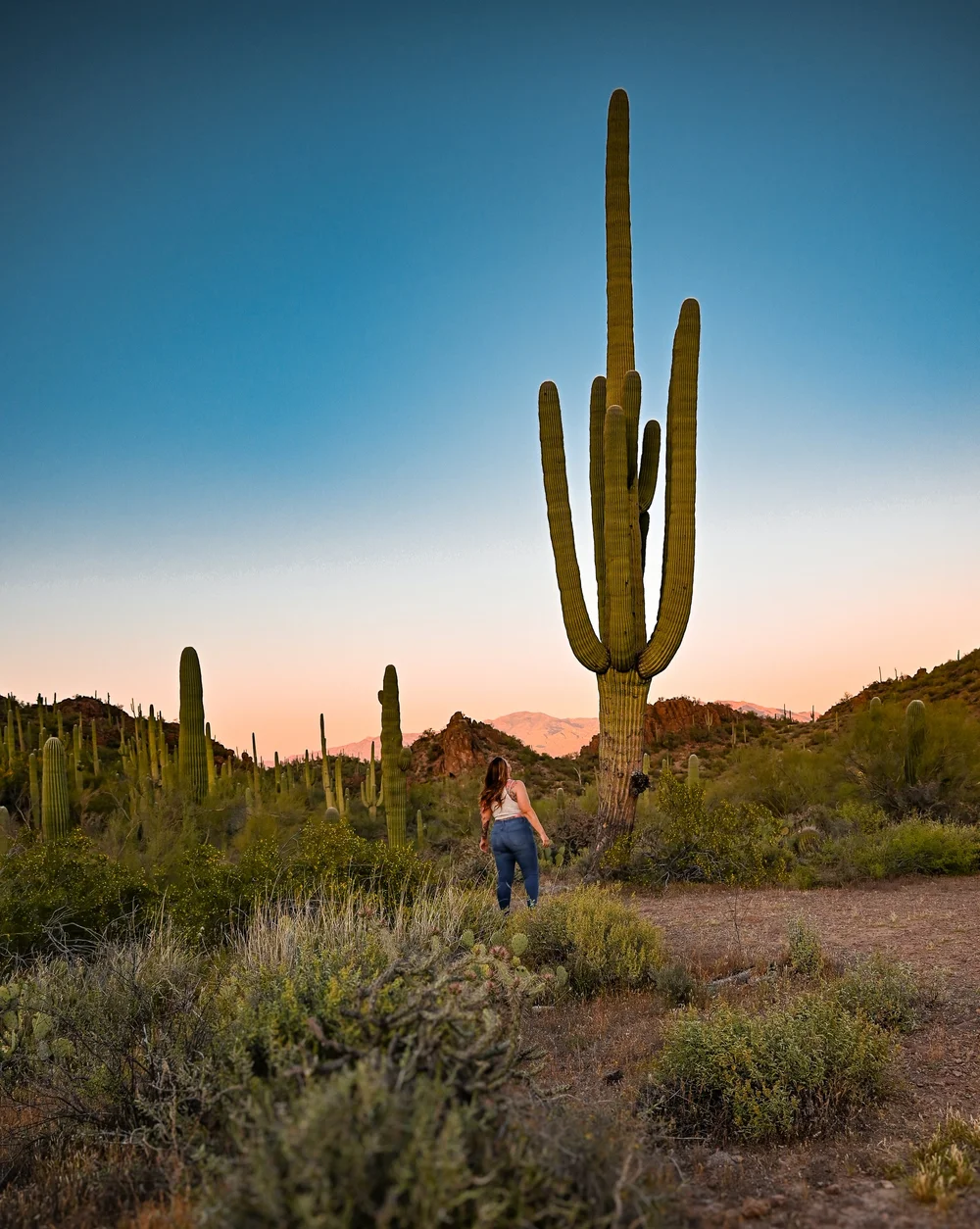 The Bitter Bitch's Guide