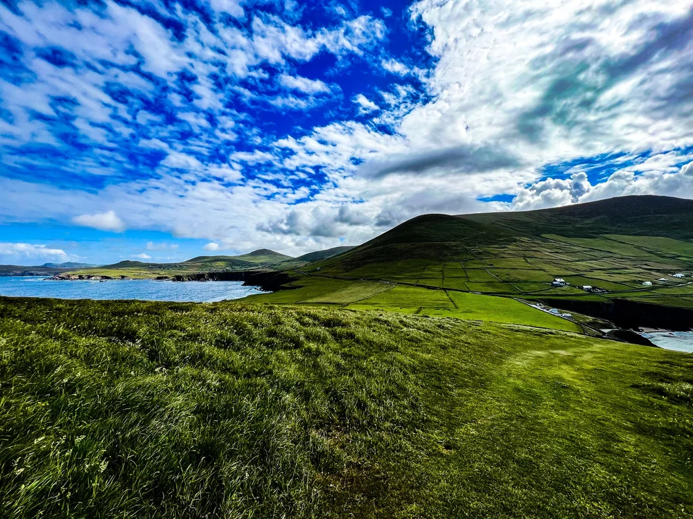 Dingle Drive: The Complete Guide