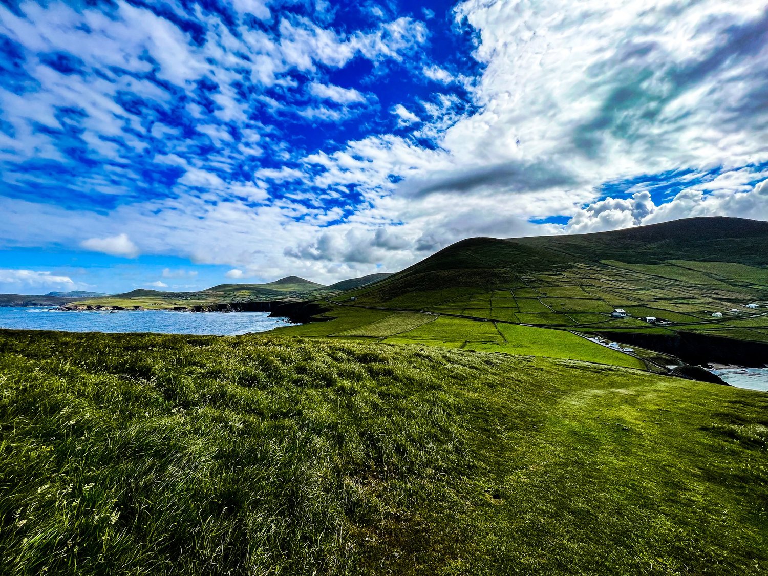 Dingle Drive: The Complete Guide