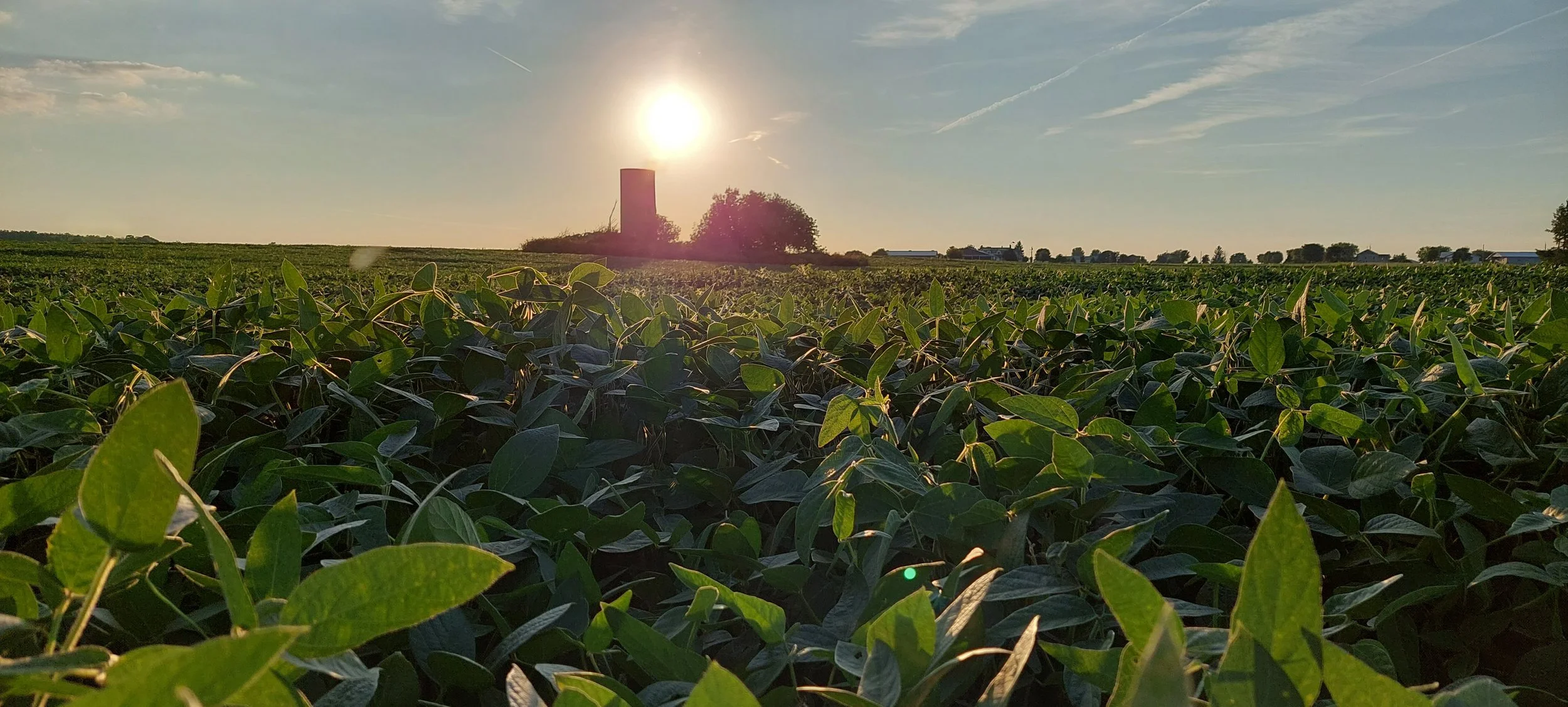 Discover a New You With Stone Silo Counselling and Wellness