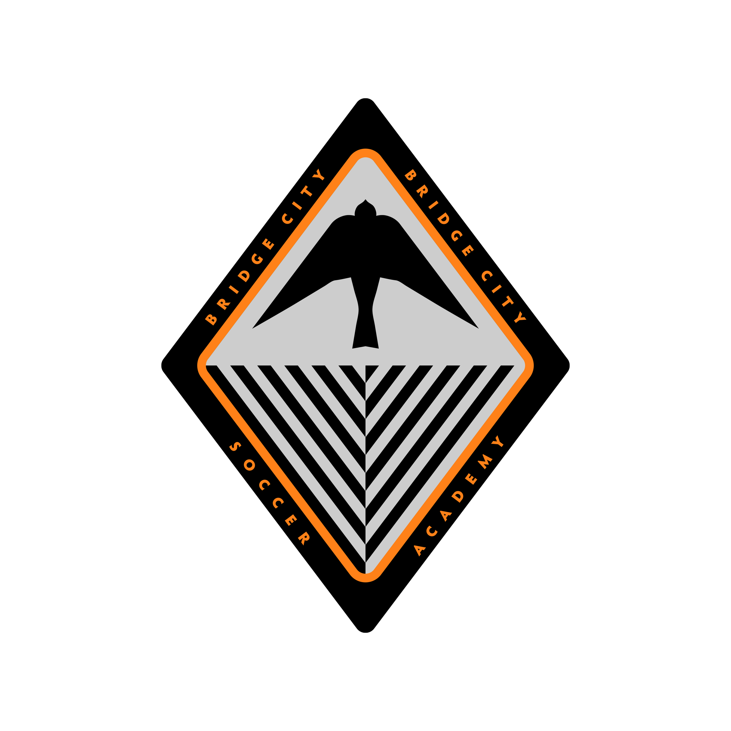 Bridge City Soccer Academy