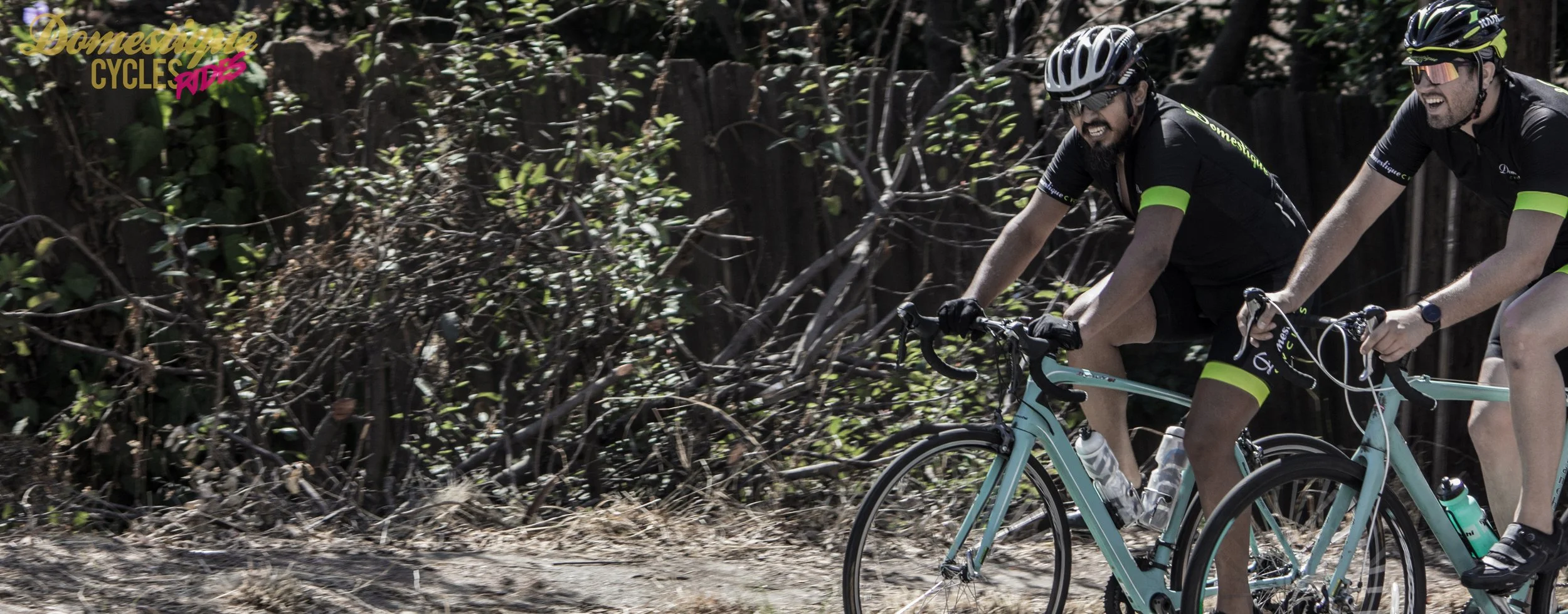 Domestique Cycles Los Angeles