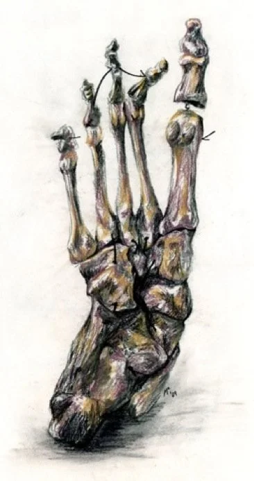 Gallery 3 — Agora Magazine