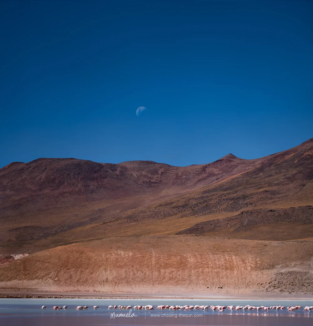 Laguna Hedionda - Bolivia's "Stinky Lake" — Chasing the Sun l World ...
