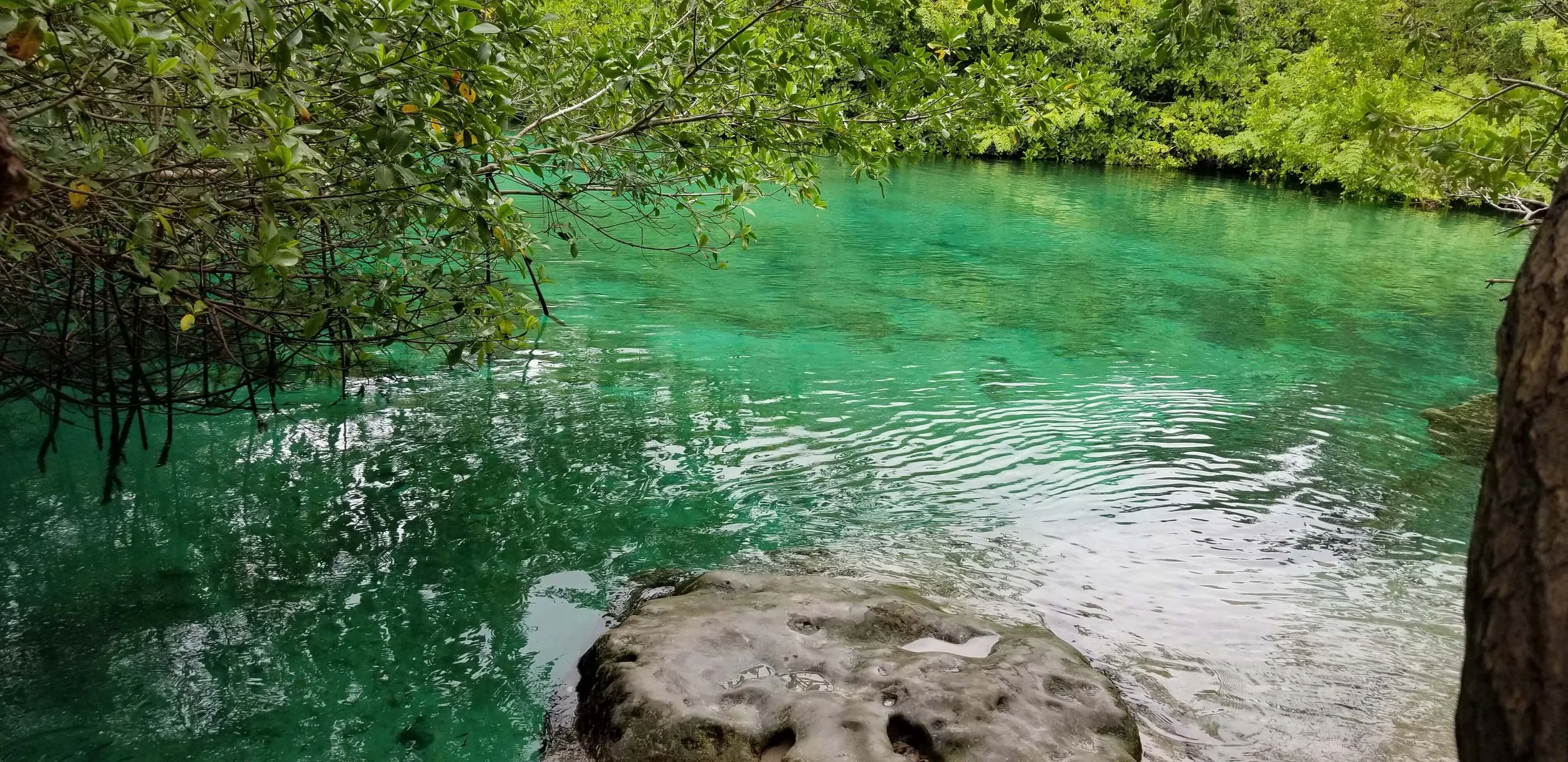 Scuba Diving Tours — Smiling Tulum Diving