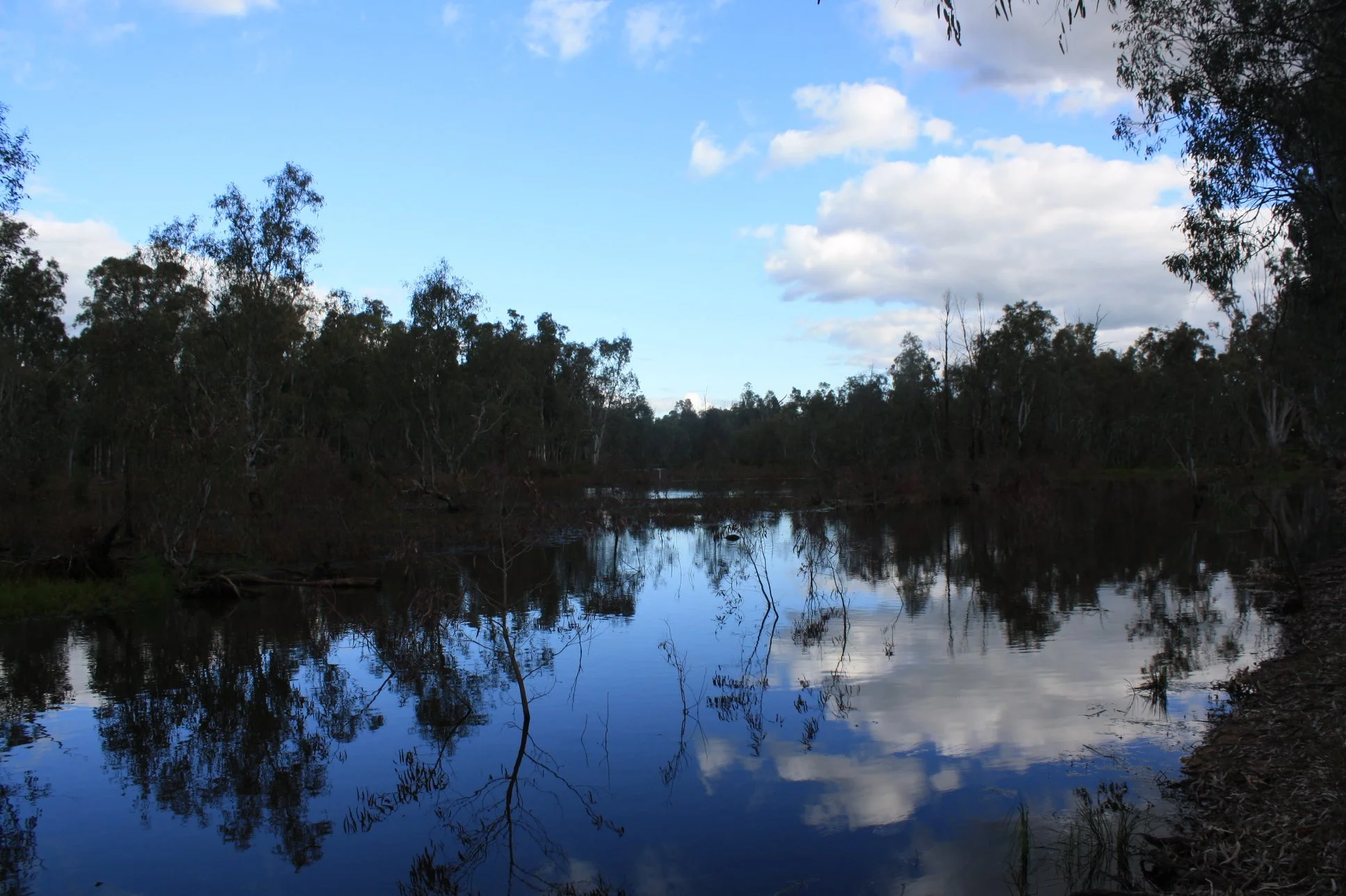 General 5 — Riverspace