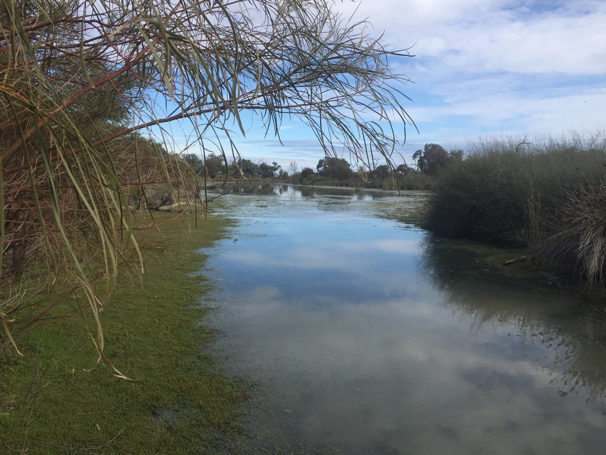 Fletchers Creek — Riverspace