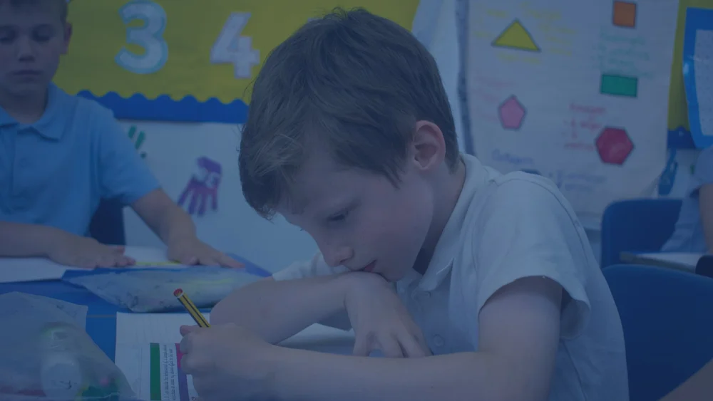 Our Curriculum - Our World — Sinclair Primary & Nursery School