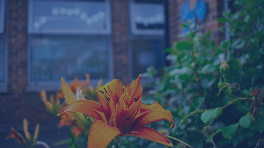 About Us — Sinclair Primary & Nursery School