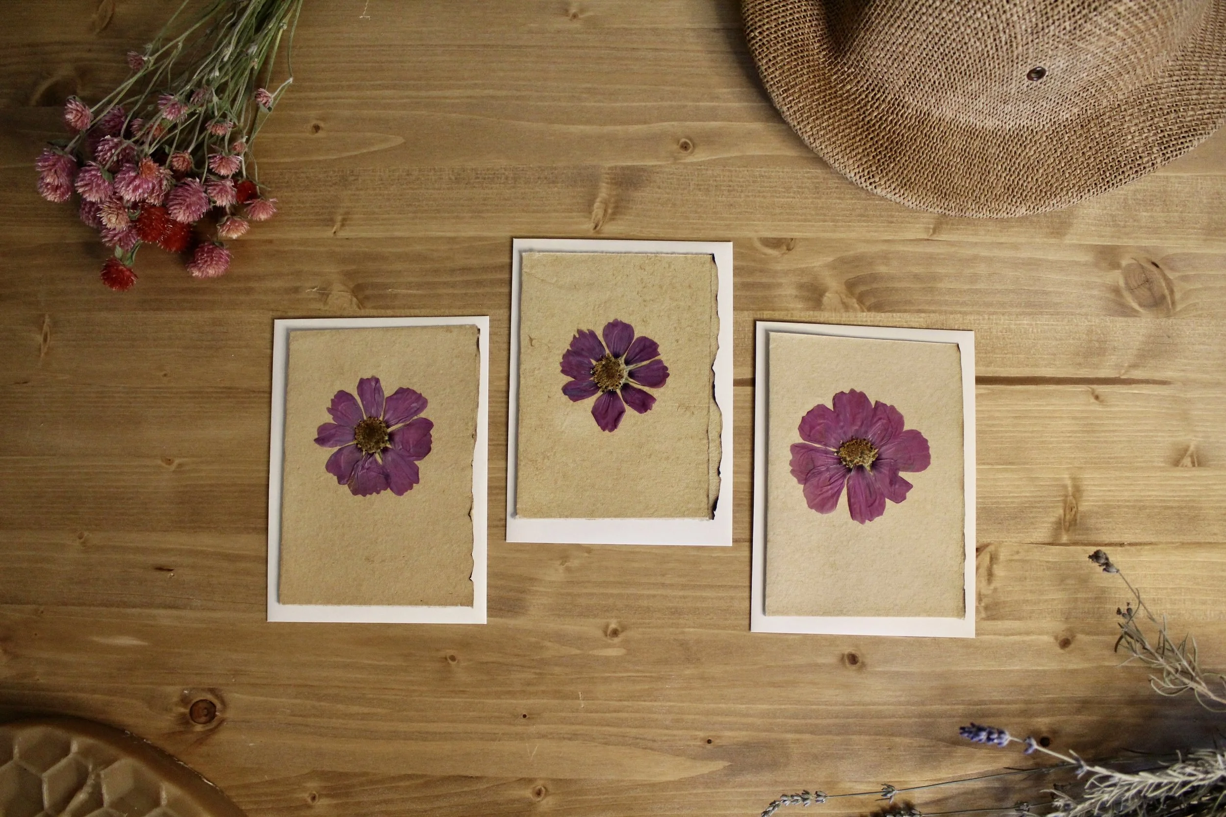 Store 1 — Blossoming Roots Farm & Supply