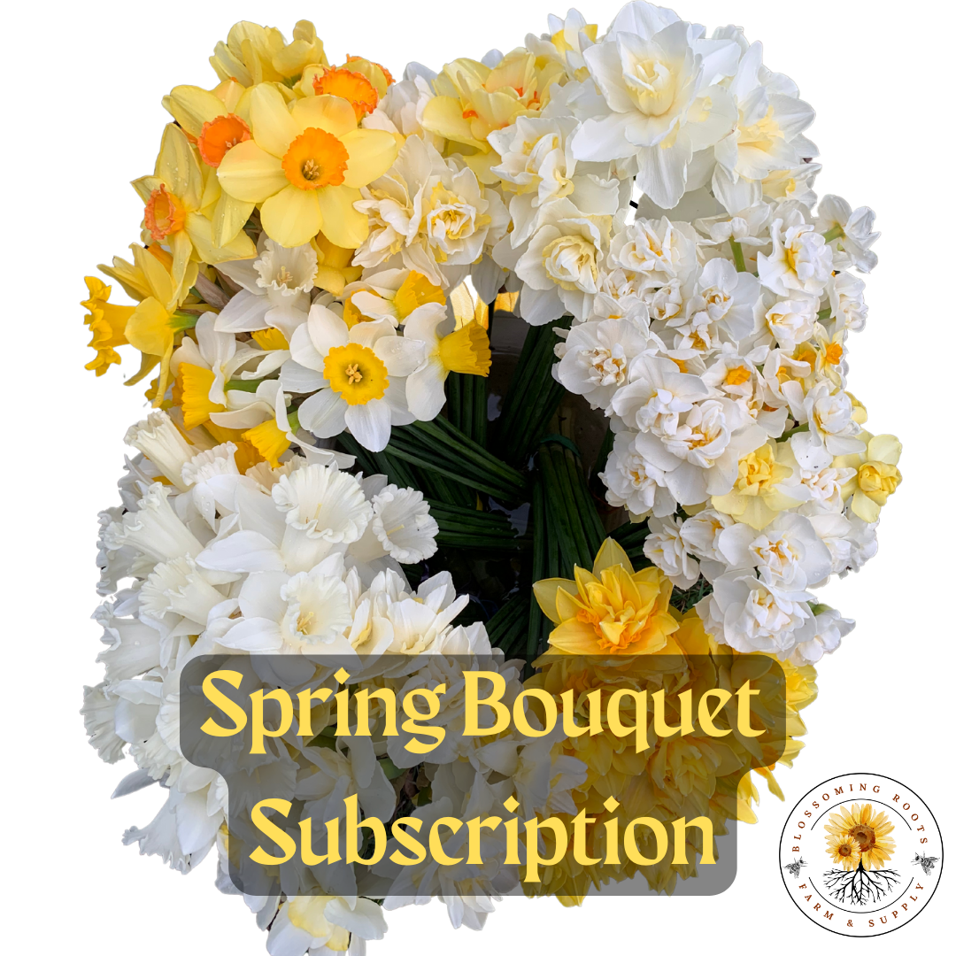 Blossoming Roots Farm & Supply