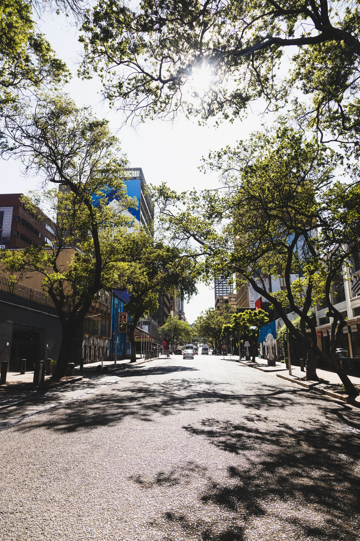 Braam — Play Braamfontein