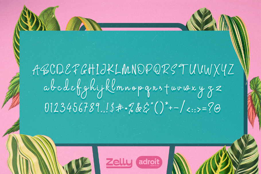 Haring Font Family — Zelly Design Co.