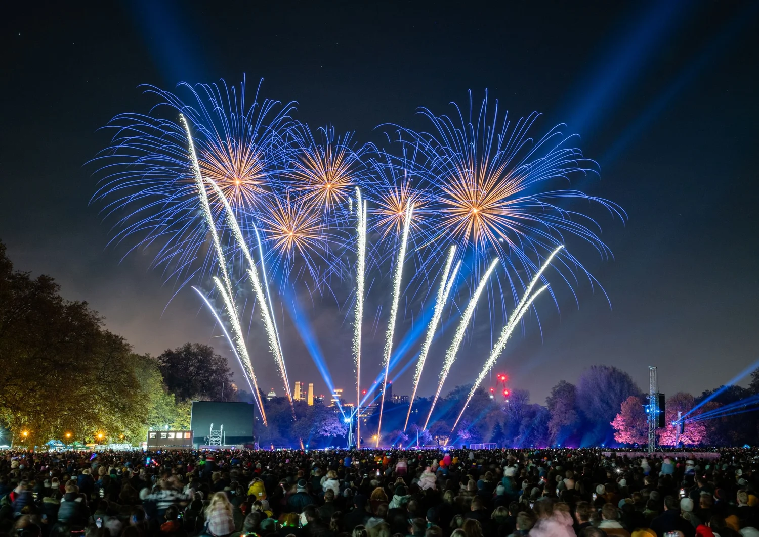 FIREWORKS NIGHT — Battersea Park Fireworks