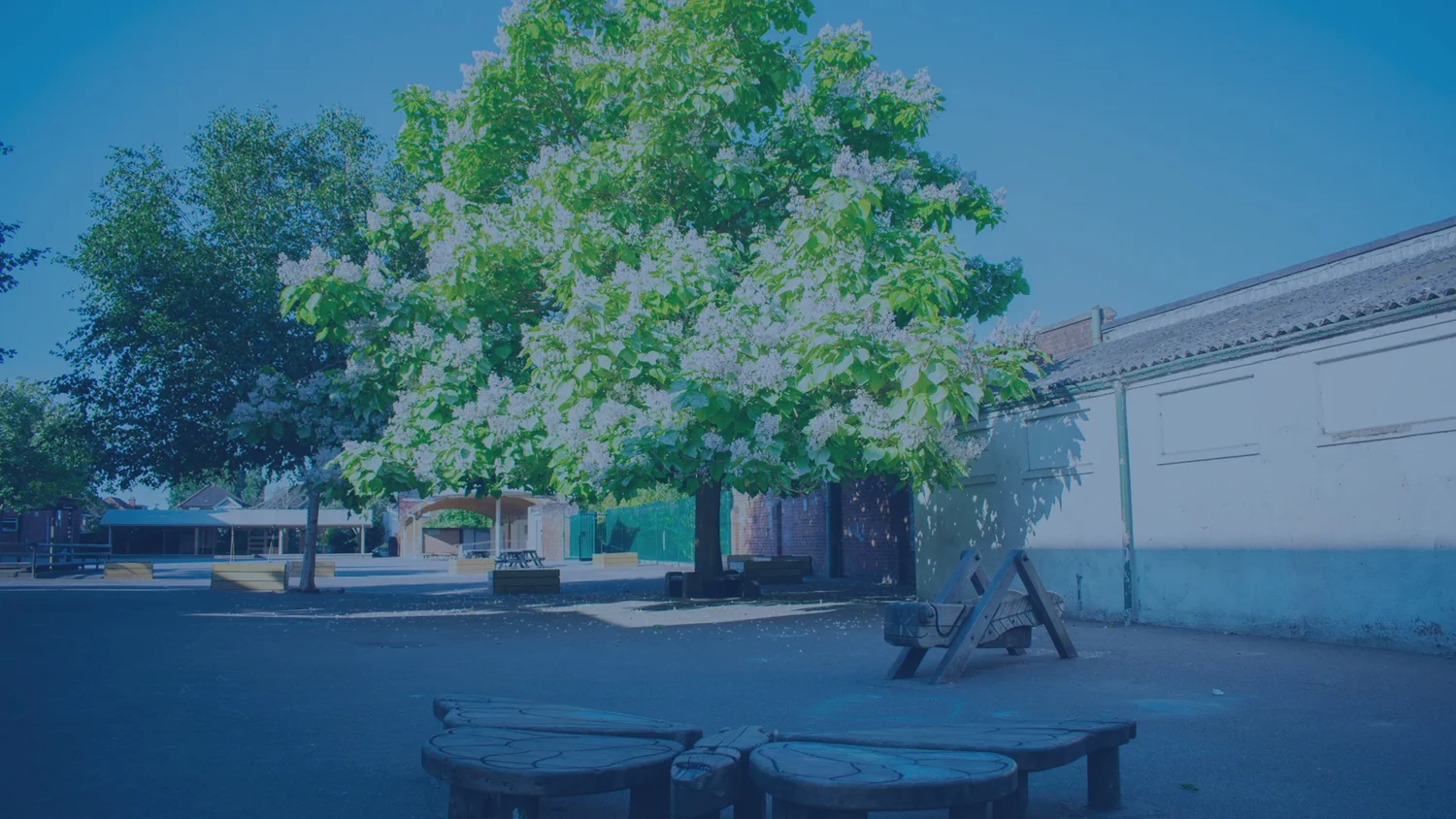 About Us — Bitterne Park Primary School