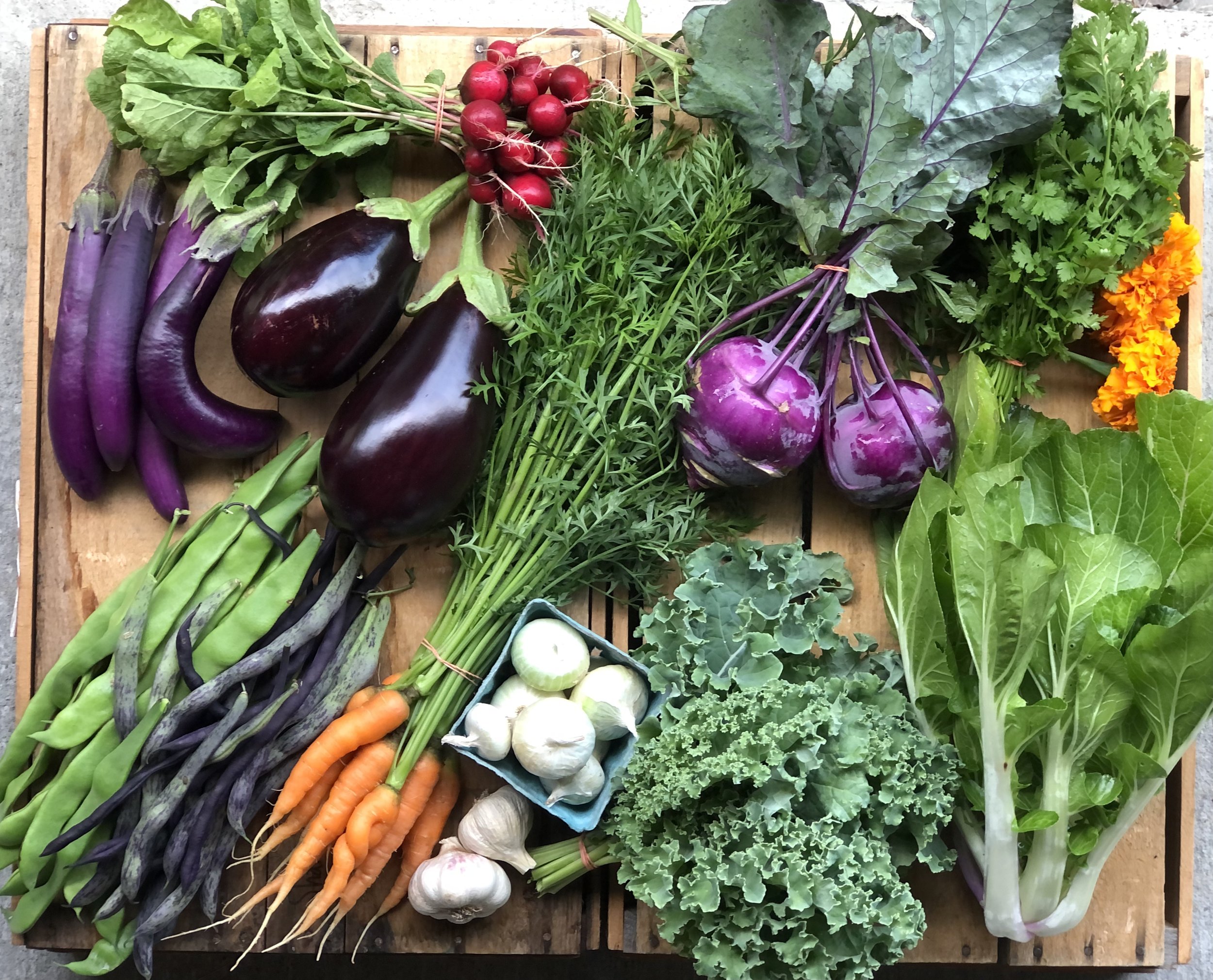 The Meadow Farmstead