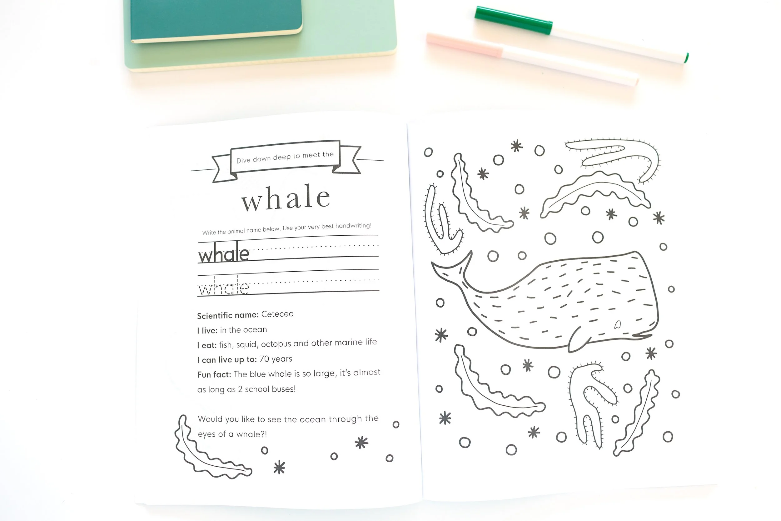 My First Animal Coloring Book for Kids — Modern Kid Press