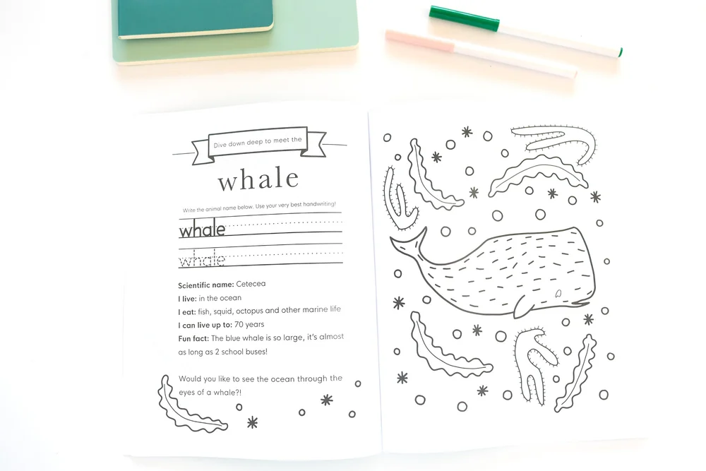 My First Animal Coloring Book for Kids — Modern Kid Press