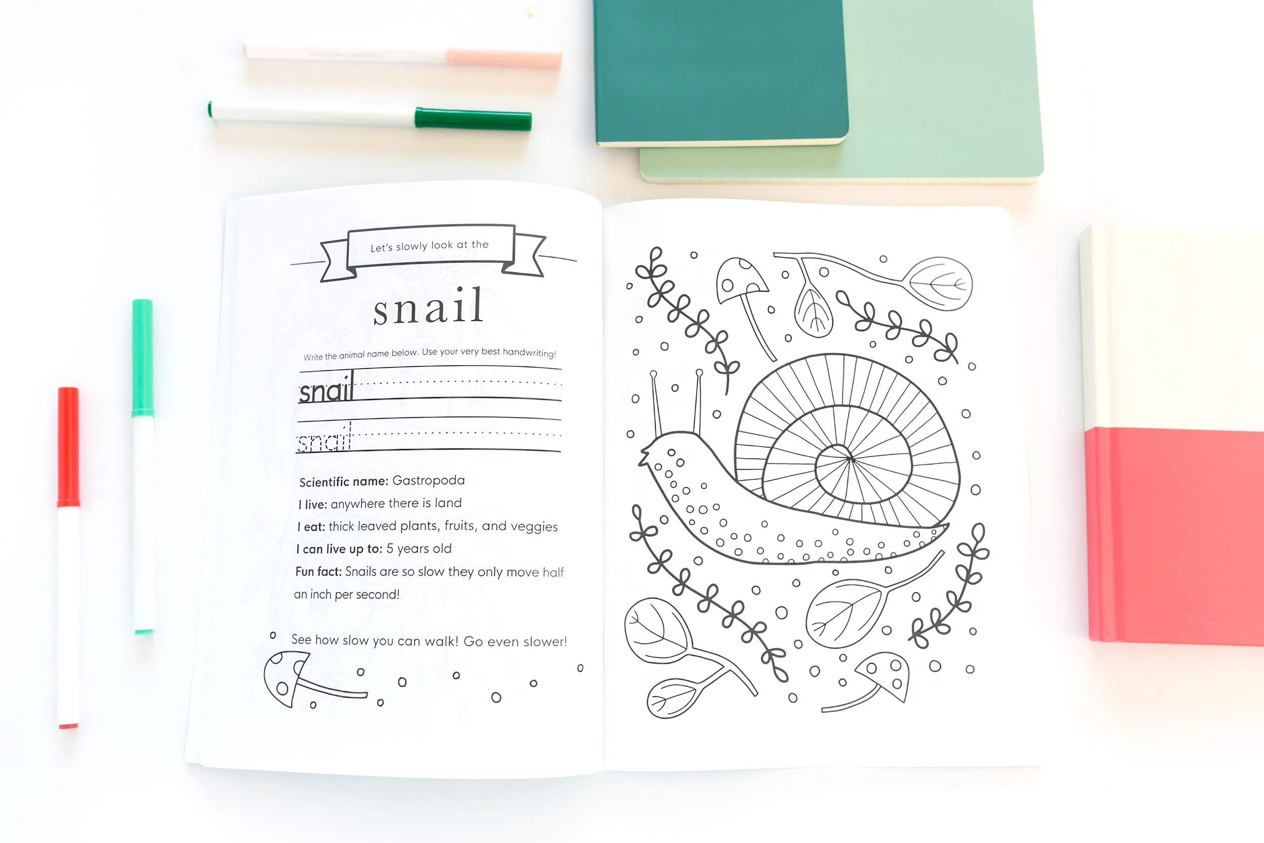 My First Animal Coloring Book for Kids — Modern Kid Press