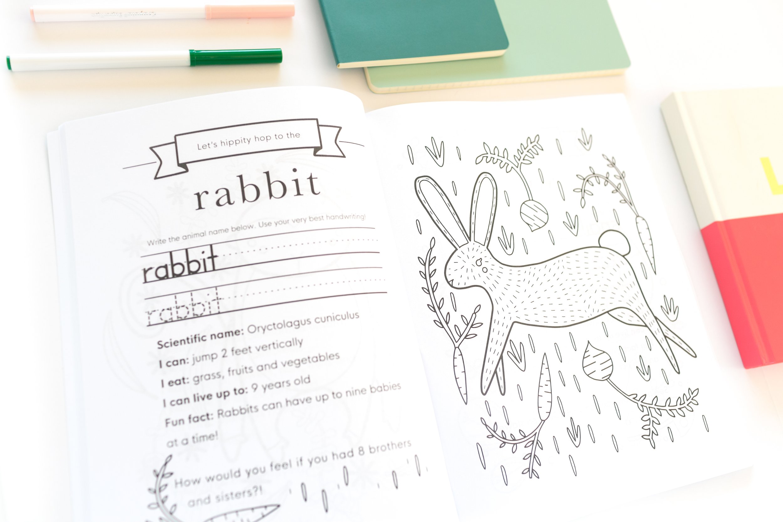 My First Animal Coloring Book for Kids — Modern Kid Press