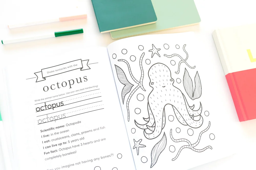 My First Animal Coloring Book for Kids — Modern Kid Press