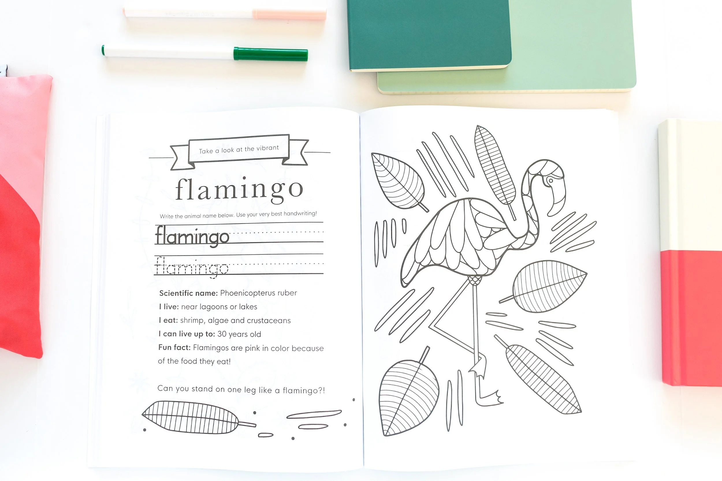 My First Animal Coloring Book for Kids — Modern Kid Press