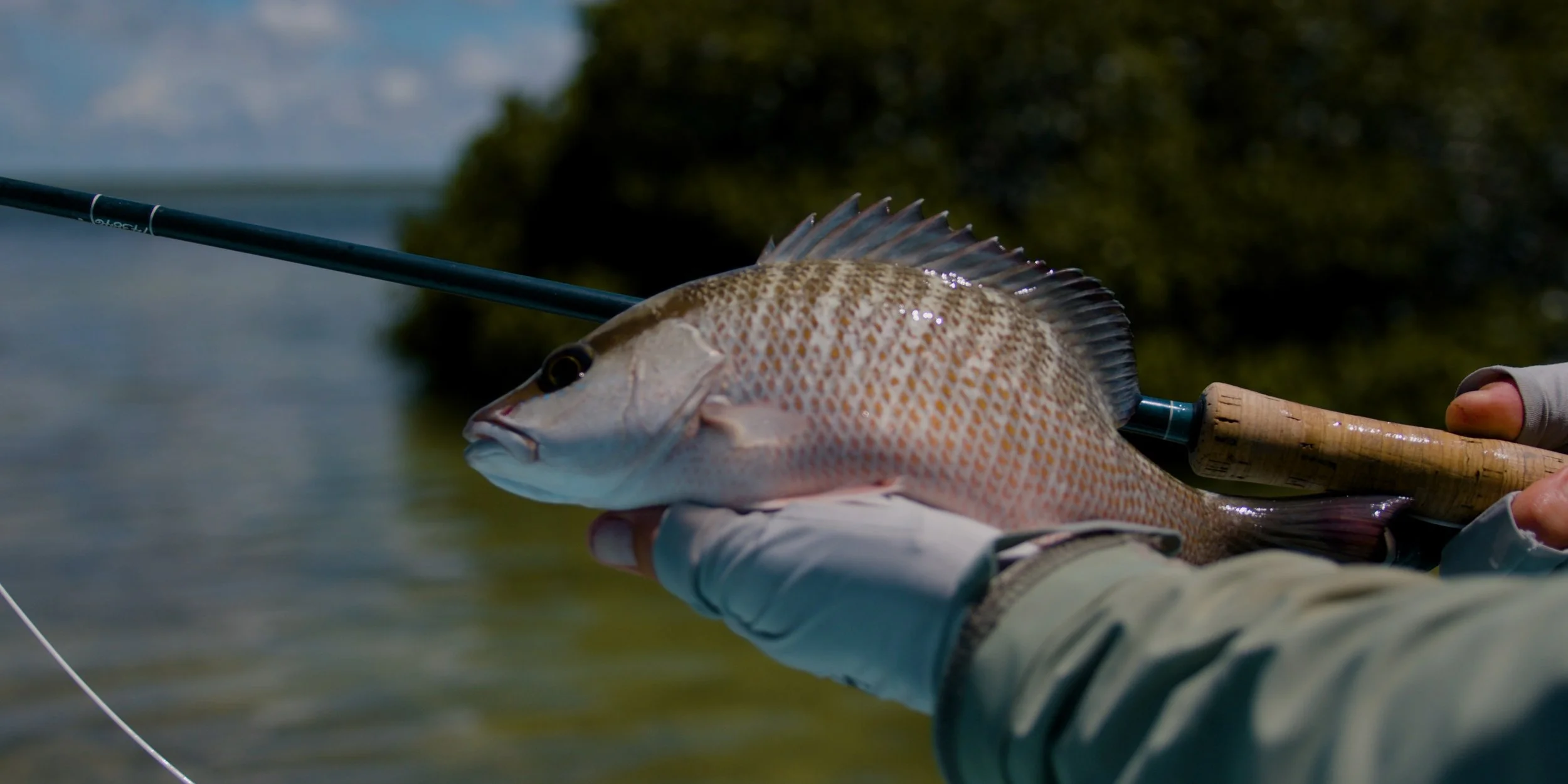 Gallery — VIVA Fly Fishing