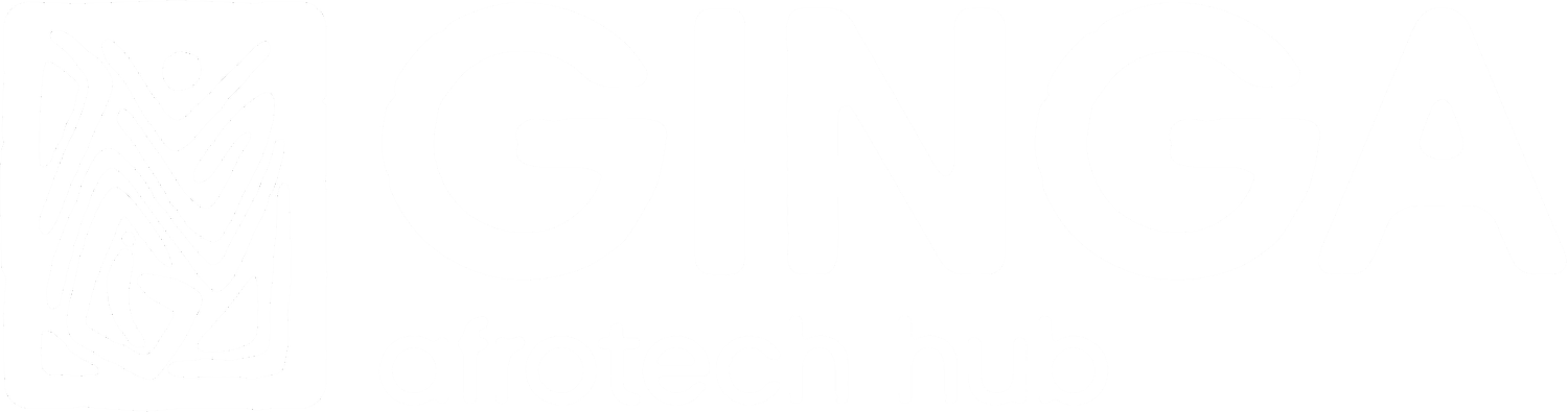 Ginga Afrotech Hub — Darwin Startups