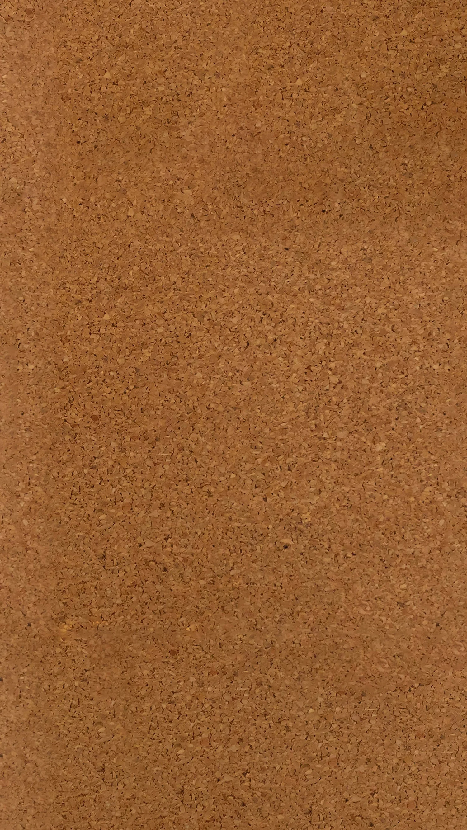 Word on the Street — Debbie DeLisi