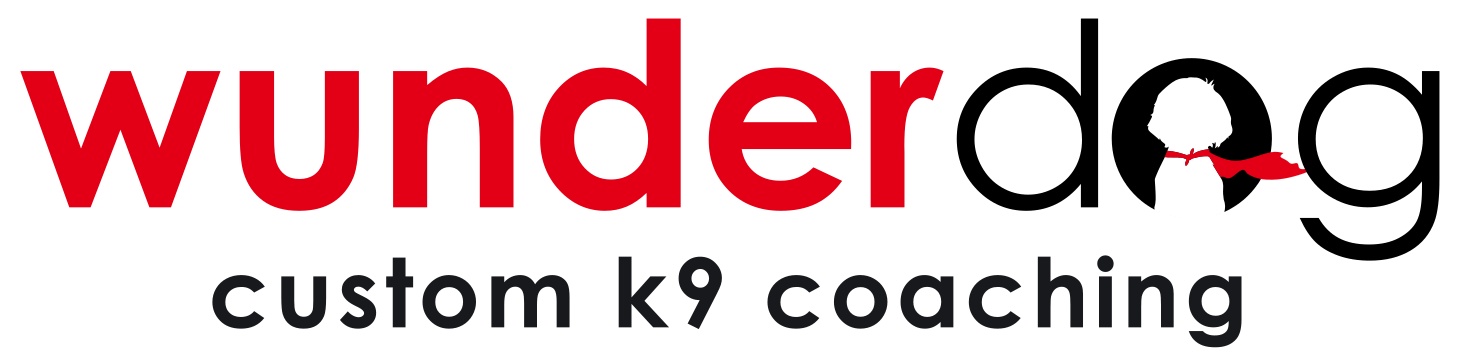 Premium Dog Training Services in Madison, WI - The Wunderdog