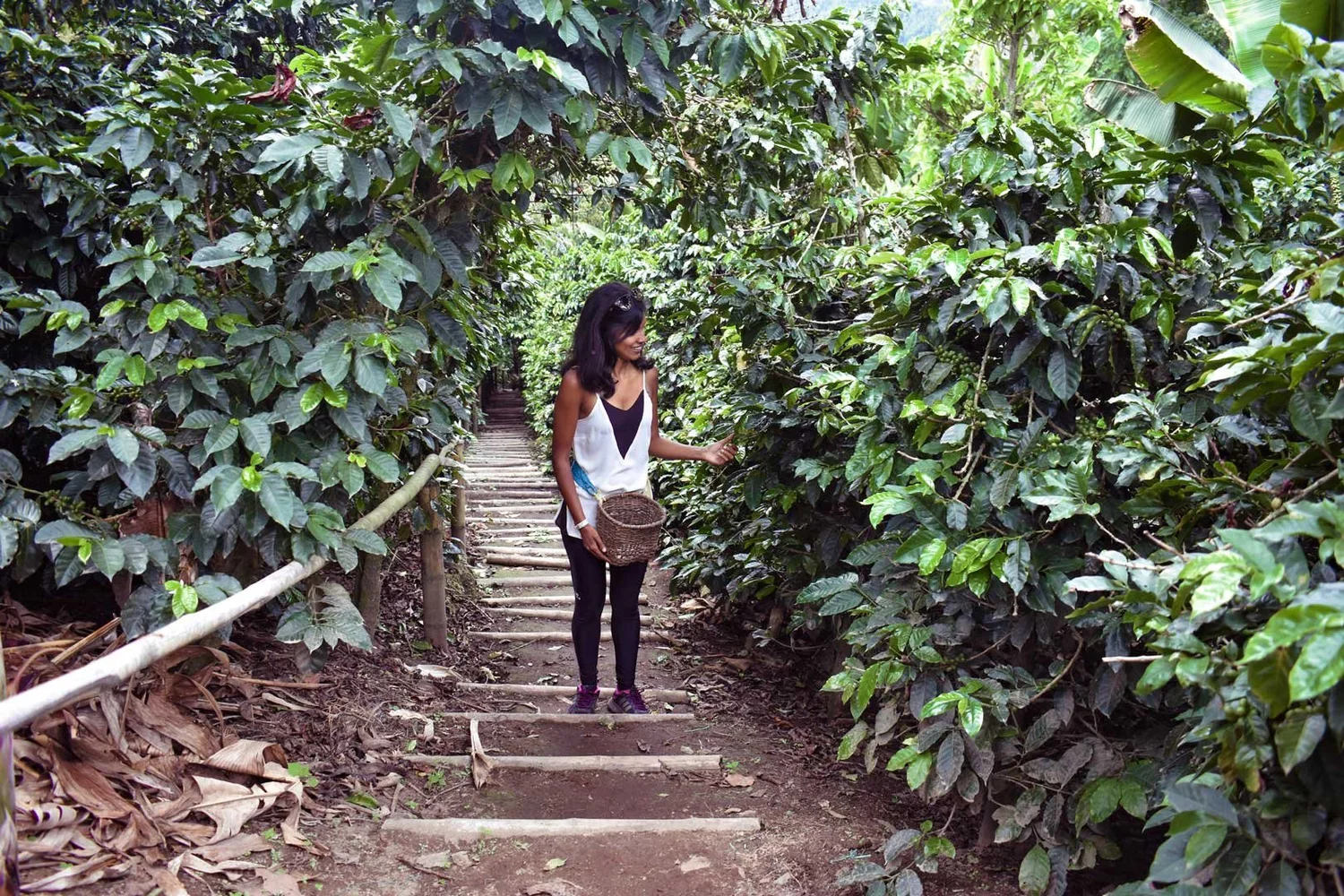 Salento Colombia, guide to the best things to do — Oops I Booked Again ...