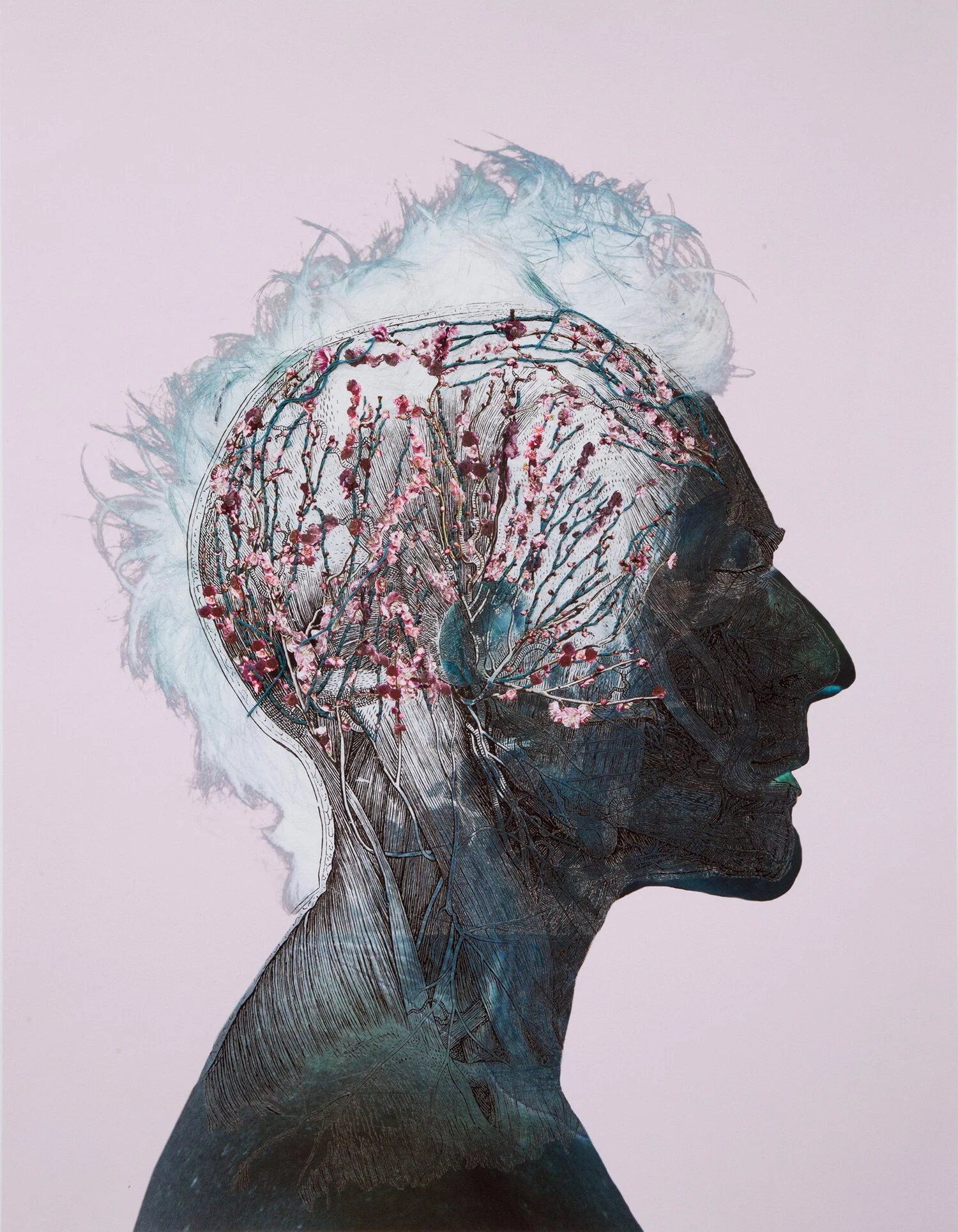 Sandra Klein — Photographic Gallery SMA