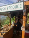 Villalba: A Unique Honeymoon in the Mountains — Drift Travel Company